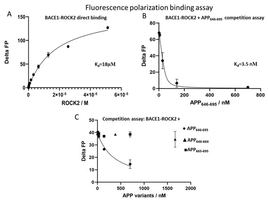 Beta-Secretase 1 Recruits Amyloid-Beta Precursor Protein to ROCK2 ...