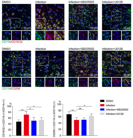 Ijms Free Full Text C X C Motif Chemokine 3 Promotes The