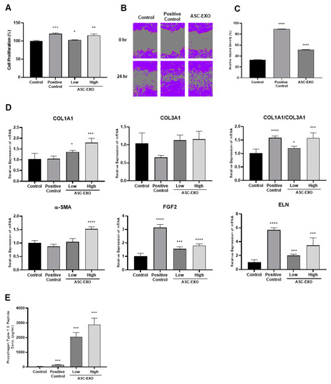Ijms Free Full Text Adipose Tissue Derived Mesenchymal Stem Cell