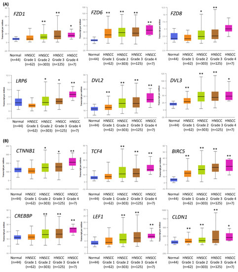 Combinations of PRI-724 Wnt/β-Catenin Pathway Inhibitor with Vismodegib ...