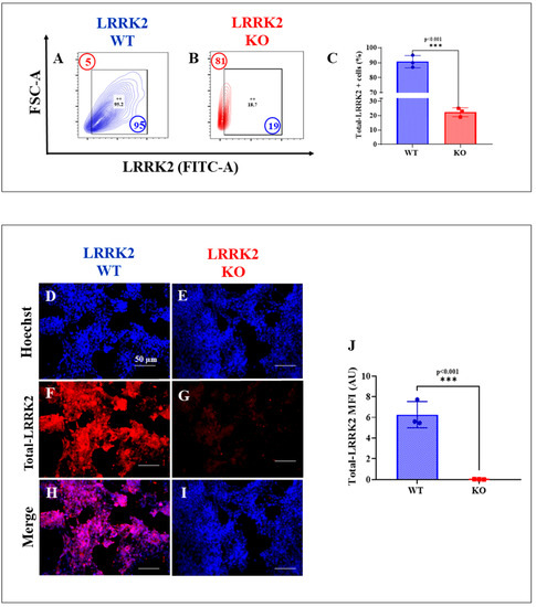 IJMS | Free Full-Text | LRRK2 Knockout Confers Resistance in HEK-293 Cells to Rotenone-Induced ...