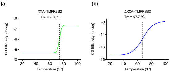 Improving Soluble Expression of SARS-CoV-2 Spike Priming Protease ...