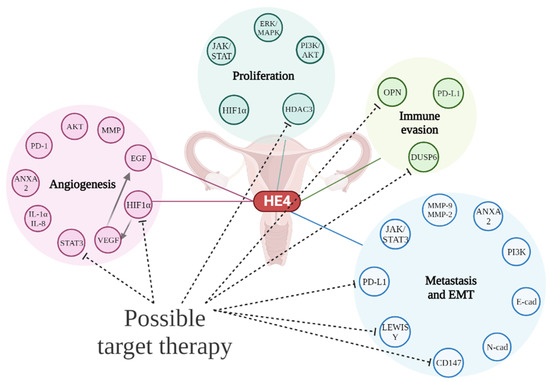 Recent Insight about HE4 Role in Ovarian Cancer Oncogenesis
