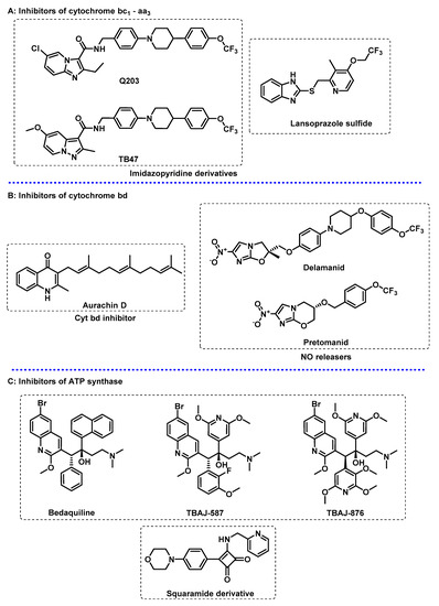Target Identification in Anti-Tuberculosis Drug Discovery
