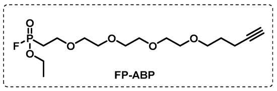 Target Identification in Anti-Tuberculosis Drug Discovery