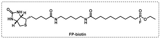 Target Identification in Anti-Tuberculosis Drug Discovery