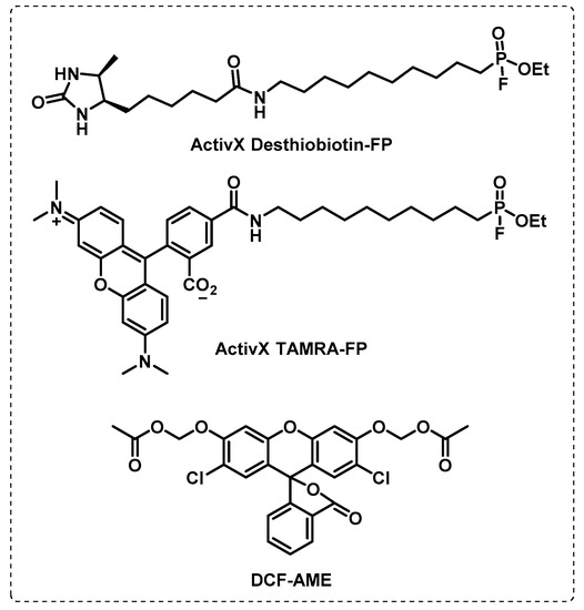 Target Identification in Anti-Tuberculosis Drug Discovery
