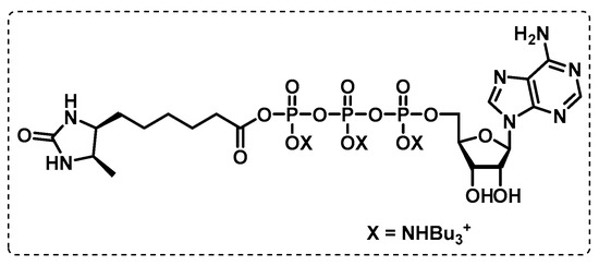 Target Identification in Anti-Tuberculosis Drug Discovery