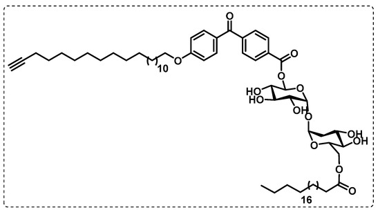Target Identification in Anti-Tuberculosis Drug Discovery