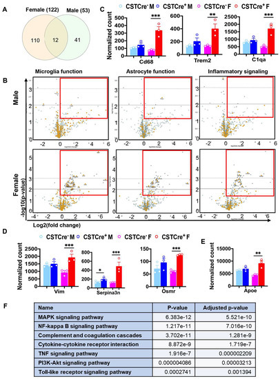 Ijms Free Full Text Adult Onset Cns Sulfatide Deficiency Causes Sex