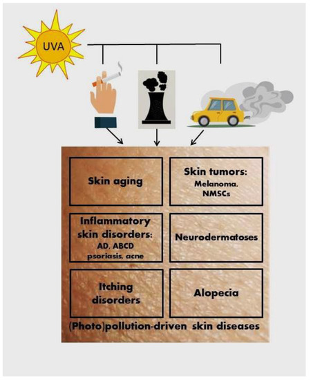 Environmental Air Pollutants Affecting Skin Functions with Systemic ...