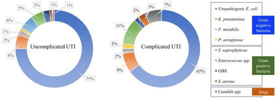 Urinary Tract Infections Caused by Uropathogenic Escherichia coli ...
