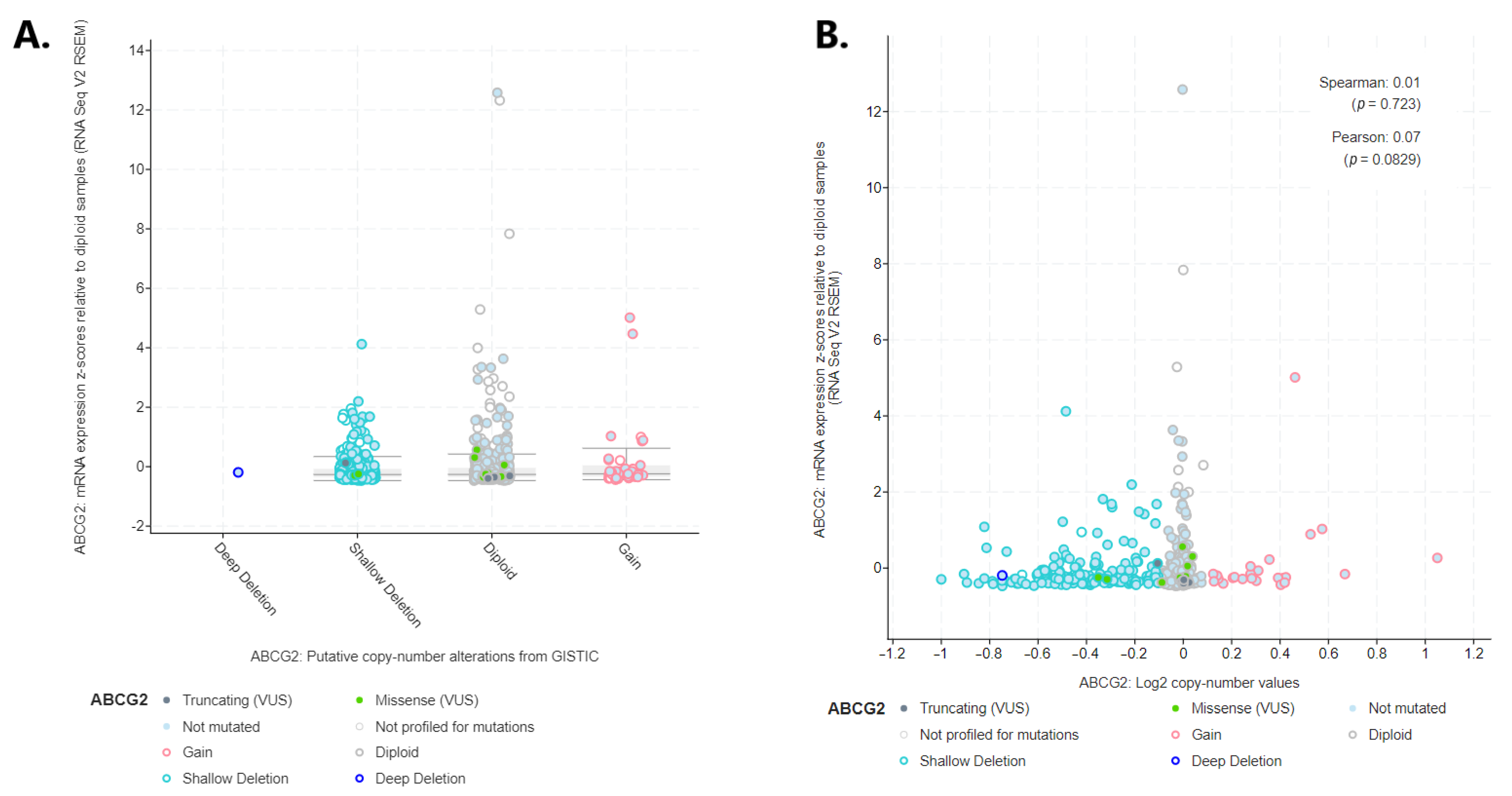 Ijms Free Full Text Abcg2 Gene And Abcg2 Protein Expression In