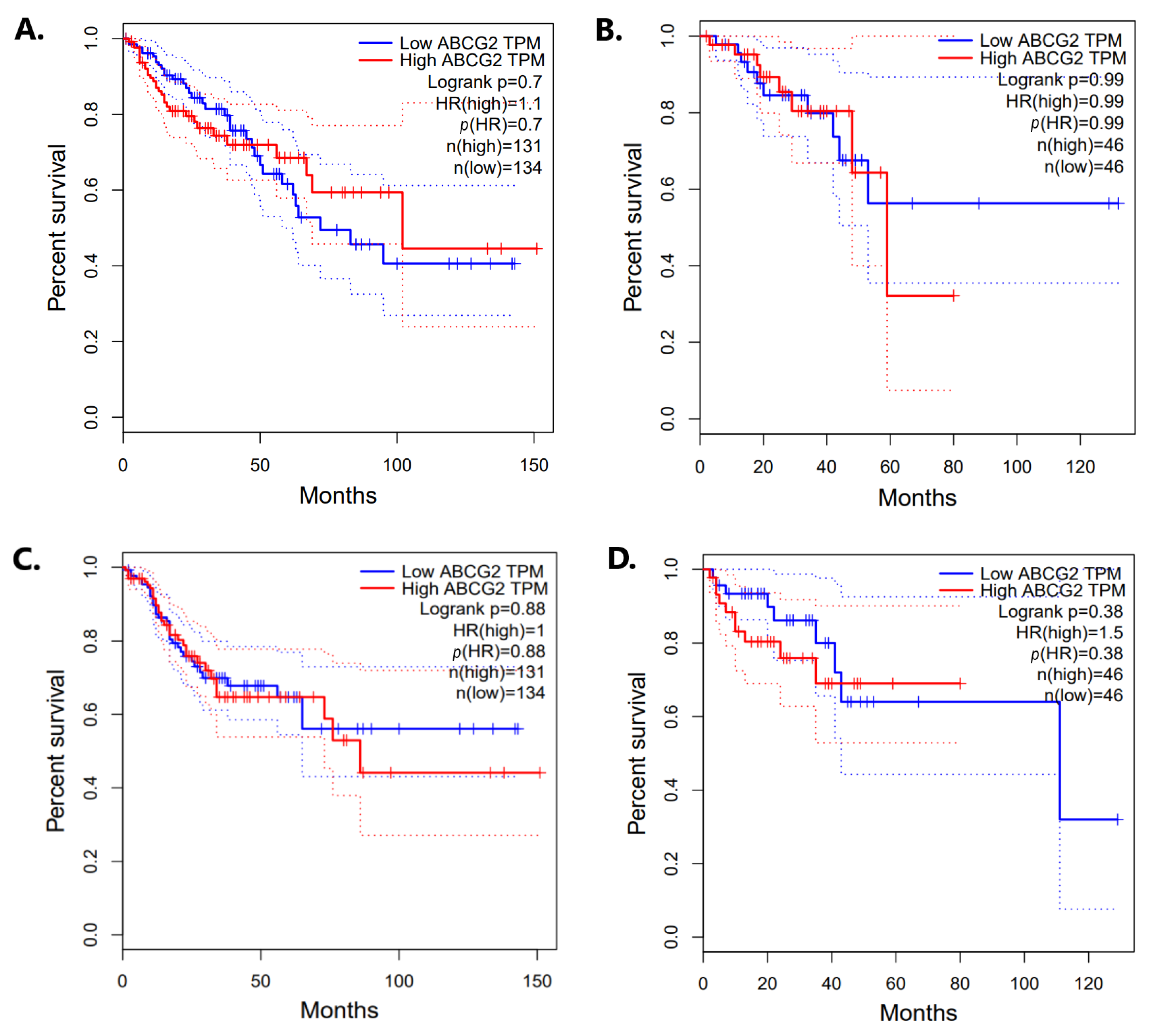 Ijms Free Full Text Abcg2 Gene And Abcg2 Protein Expression In