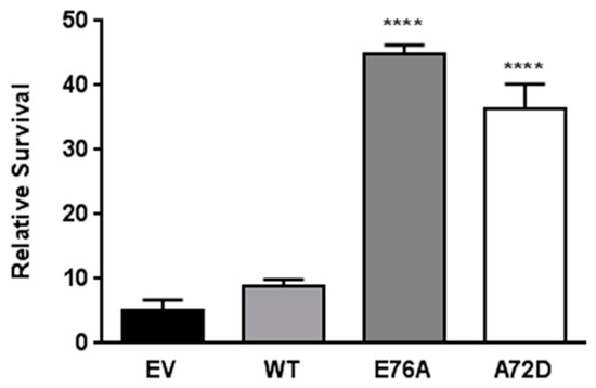 Protein Tyrosine Phosphatase Non-Receptor 11 (PTPN11/Shp2) as a Driver ...