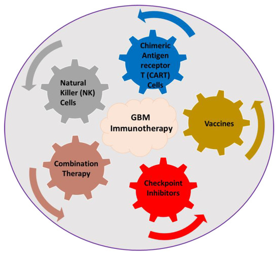 Immunotherapeutic Approaches for the Treatment of Glioblastoma ...
