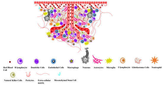Immunotherapeutic Approaches for the Treatment of Glioblastoma ...