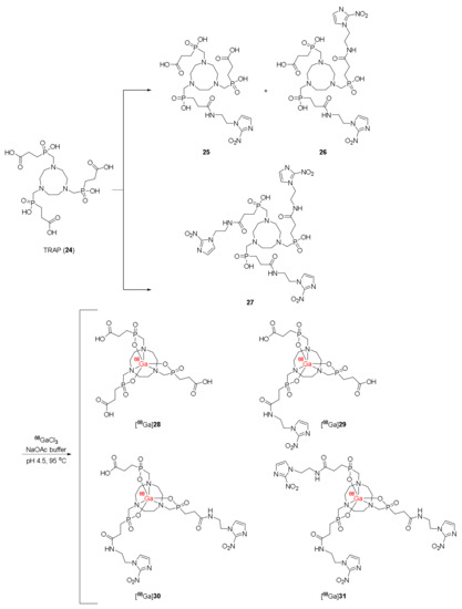 Recent Advances of 68Ga-Labeled PET Radiotracers with Nitroimidazole in ...