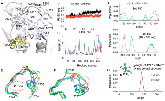 Molecular Dynamics Simulations of Matrix Metalloproteinase 13 and the Analysis of the ...