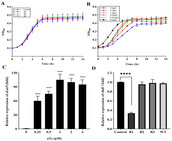 Inhibition of Plasmid Conjugation in Escherichia coli by Targeting rbsB ...