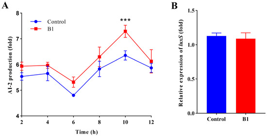 Inhibition of Plasmid Conjugation in Escherichia coli by Targeting rbsB ...