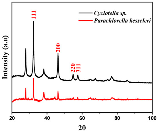 Biosynthesis and Characterization of Silver Nanoparticles Produced by ...