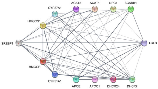 Single-Cell RNA-Seq Identifies Pathways and Genes Contributing to the ...