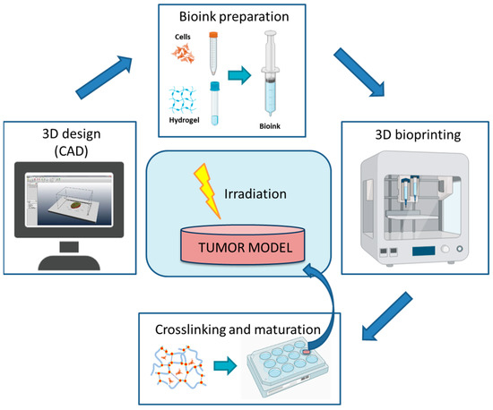 3D Cell Models in Radiobiology: Improving the Predictive Value of In ...