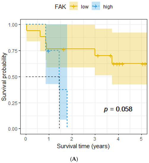 THSD7A Positivity Predicts Poor Survival and Is Linked to High FAK ...