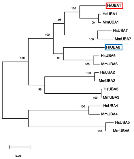 Involvement in Fertilization and Expression of Gamete Ubiquitin ...