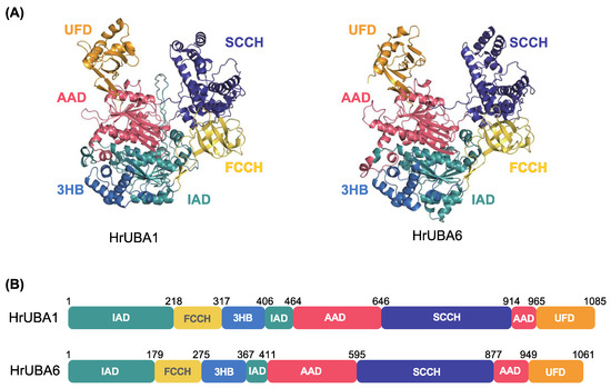 Involvement in Fertilization and Expression of Gamete Ubiquitin ...