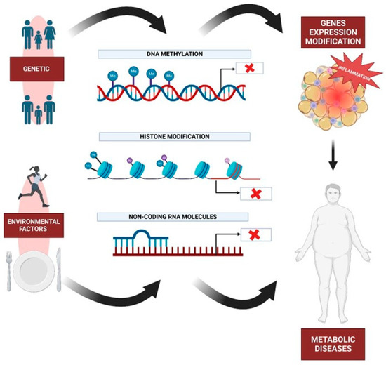 New Insights and Potential Therapeutic Interventions in Metabolic Diseases