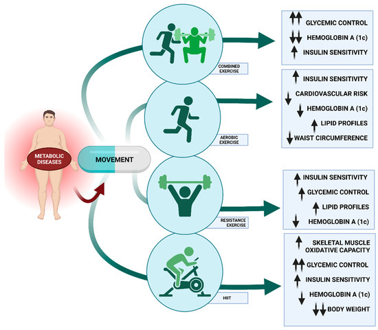 New Insights and Potential Therapeutic Interventions in Metabolic Diseases