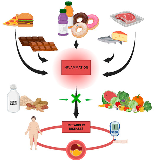 New Insights and Potential Therapeutic Interventions in Metabolic Diseases