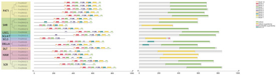 Transcriptome-Wide Identification of the GRAS Transcription Factor ...