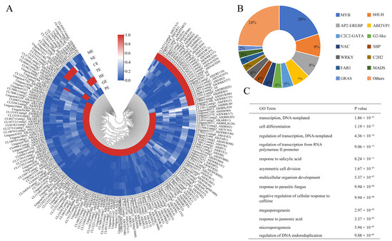 Transcriptome Landscape Analyses of the Regulatory Network for Zygotic ...