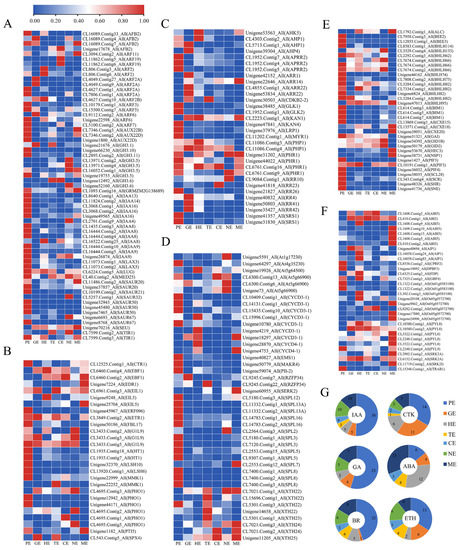 Transcriptome Landscape Analyses of the Regulatory Network for Zygotic ...