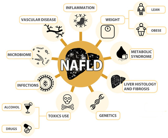 Innovative Therapeutic Approaches in Non-Alcoholic Fatty Liver Disease ...
