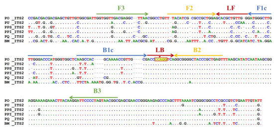 Genetic Authentication of the Medicinal Plant Portulaca oleracea Using a Quick, Precise, and ...