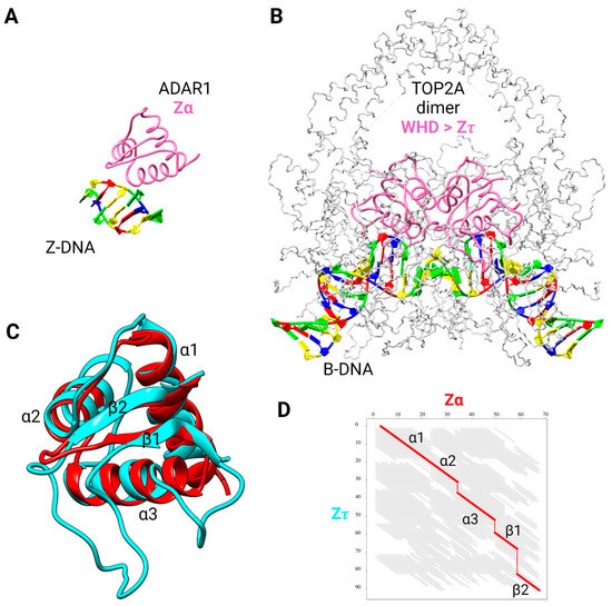 IJMS | Free Full-Text | Extensive Bioinformatics Analyses Reveal a ...