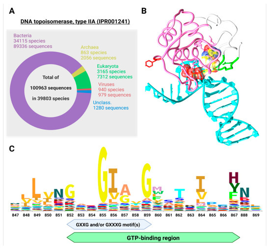 IJMS | Free Full-Text | Extensive Bioinformatics Analyses Reveal a ...