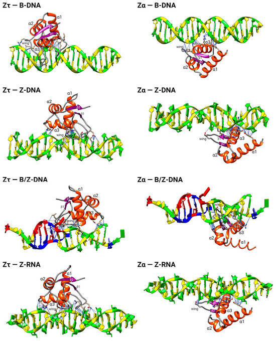 IJMS | Free Full-Text | Extensive Bioinformatics Analyses Reveal a ...