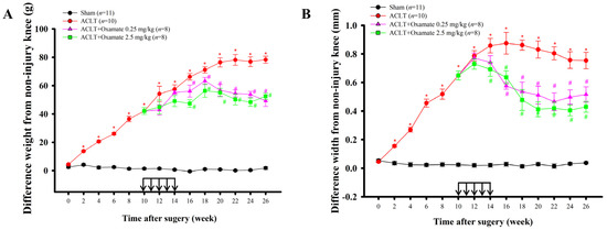 Intra-Articular Lactate Dehydrogenase A Inhibitor Oxamate Reduces ...