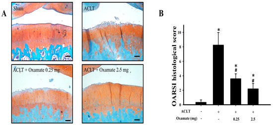 Intra-Articular Lactate Dehydrogenase A Inhibitor Oxamate Reduces ...