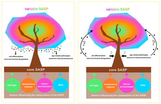Exploring the Communication of the SASP: Dynamic, Interactive, and ...