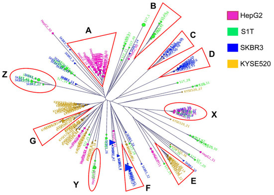 A Novel Strategy for Screening Tumor-Specific Variable Domain of Heavy ...