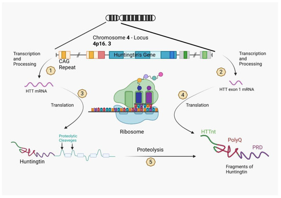 Unraveling Molecular and Genetic Insights into Neurodegenerative ...