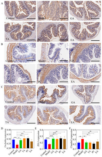 Plant Polyphenols Attenuate DSS-induced Ulcerative Colitis in Mice via ...