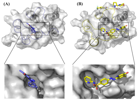 Molecular Dynamics Simulations Combined with Markov Model to Explore the Effect of Allosteric ...