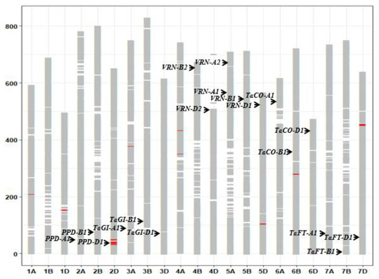 Development and Characterization of Near-Isogenic Lines Derived from ...